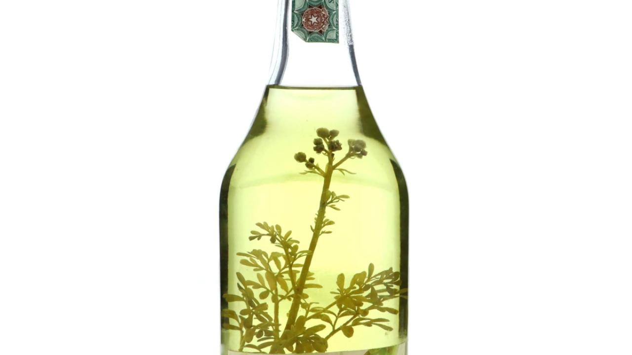 Levi Serafino Grappa Con Erba Di Ruta Whisky | Whisky Auctioneer