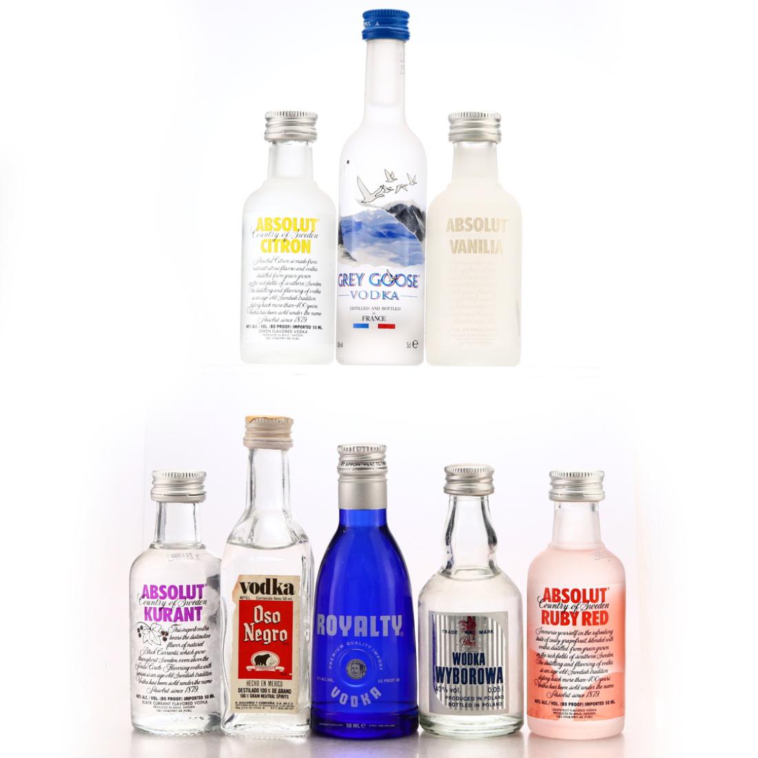 Vodka Miniatures x 8 Whisky | Whisky Auctioneer