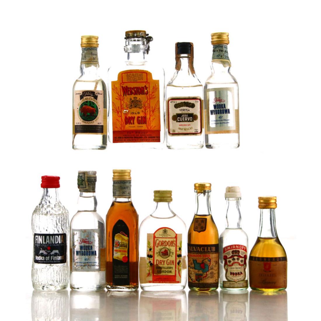 Assorted Spirits Miniature x 11 Whisky | Whisky Auctioneer