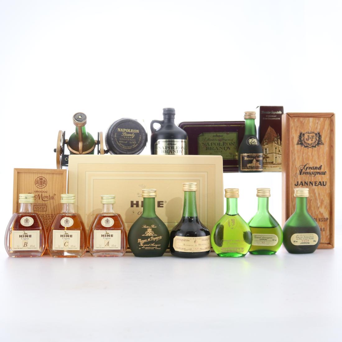 Brandy Miniatures x 12 Whisky | Whisky Auctioneer